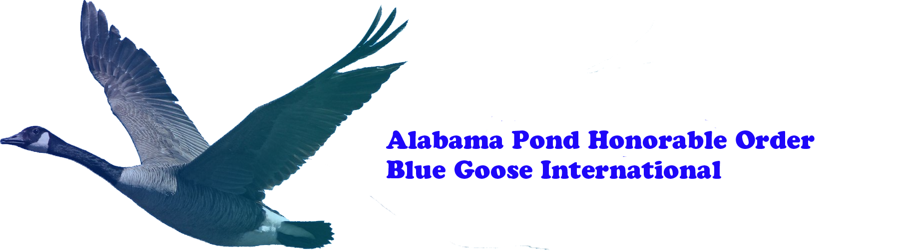 Merry Christmas From the AL Blue Goose Pond – Alabama Pond – Blue Goose ...